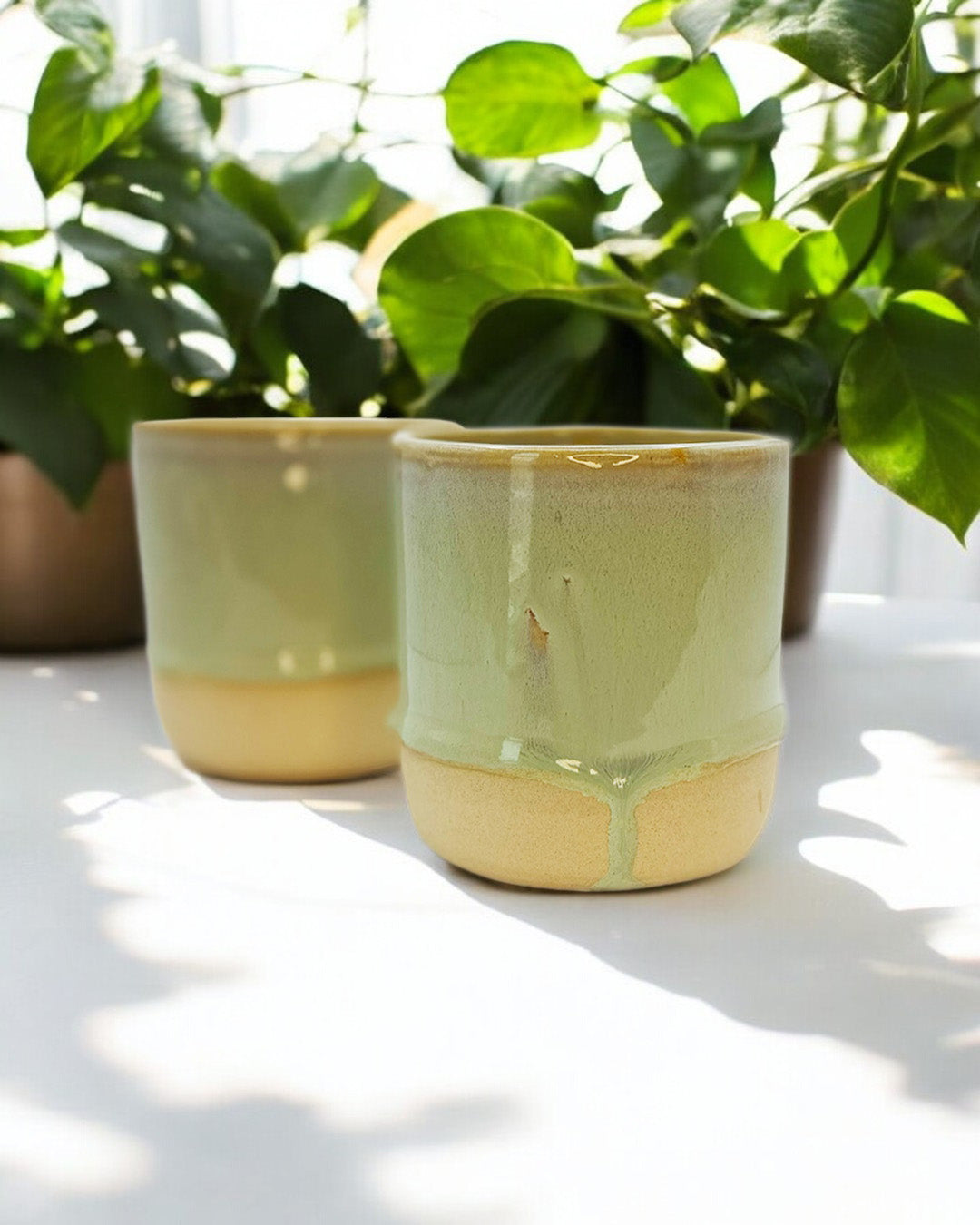 Willow Mist Cups – Potterra